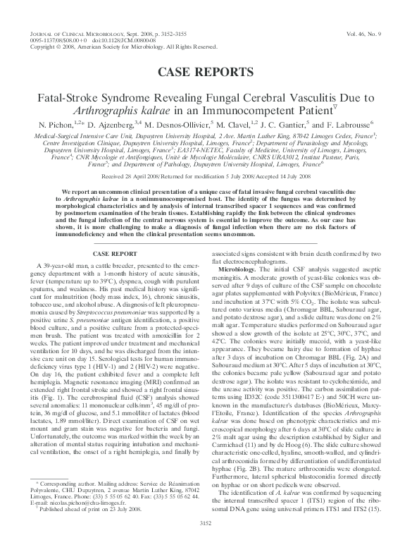 (PDF) Fatal-Stroke Syndrome Revealing Fungal Cerebral Vasculitis Due to ...