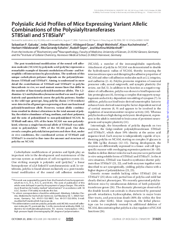 (PDF) Polysialic acid affects pathophysiological consequences of status epilepticus | Anton ...