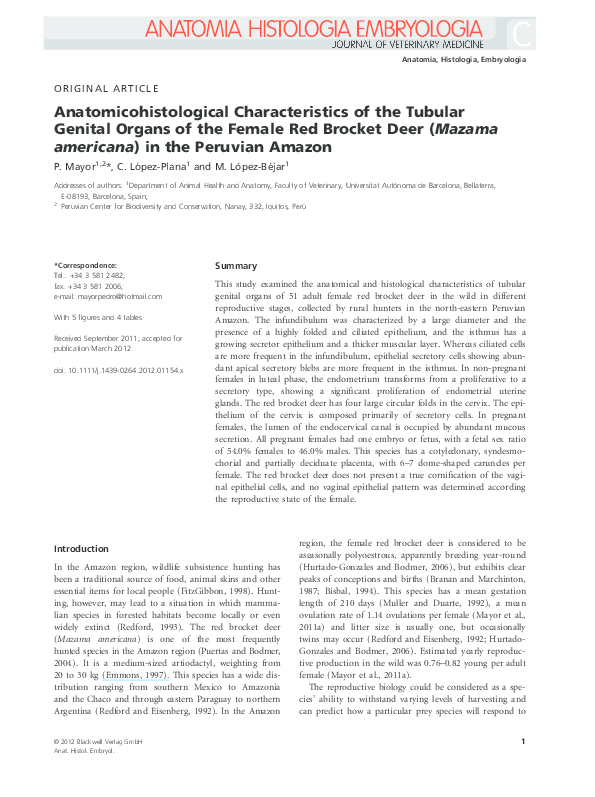 (PDF) Anatomicohistological Characteristics of the Tubular Genital ...