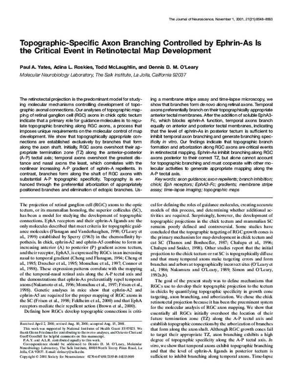 (PDF) Topographic-Specific Axon Branching Controlled by Ephrin-As Is ...