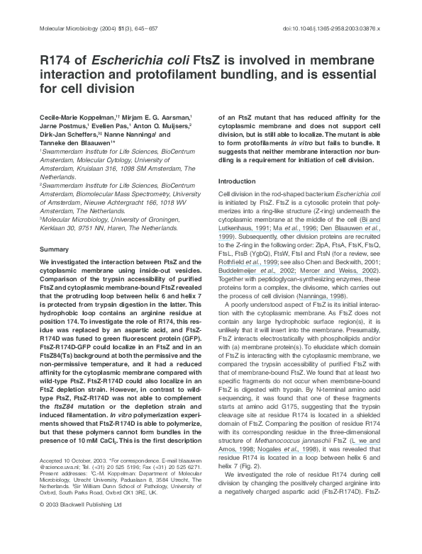 (PDF) R174 of Escherichia coli FtsZ is involved in membrane interaction ...