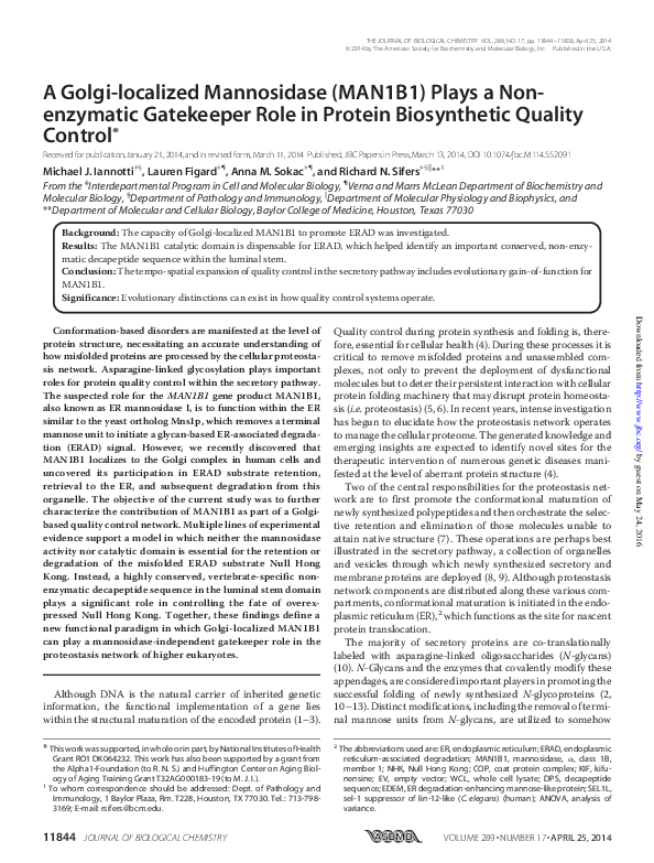 (PDF) A Golgi-localized Mannosidase (MAN1B1) Plays a Non-enzymatic ...