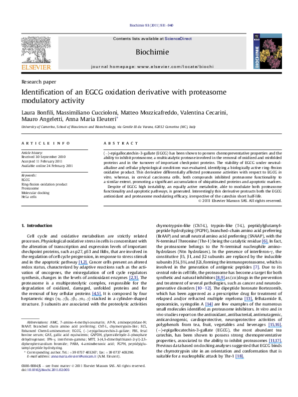 (PDF) Identification of an EGCG oxidation derivative with proteasome ...