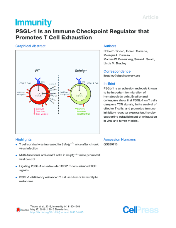 (PDF) PSGL-1 Is an Immune Checkpoint Regulator that Promotes T Cell ...