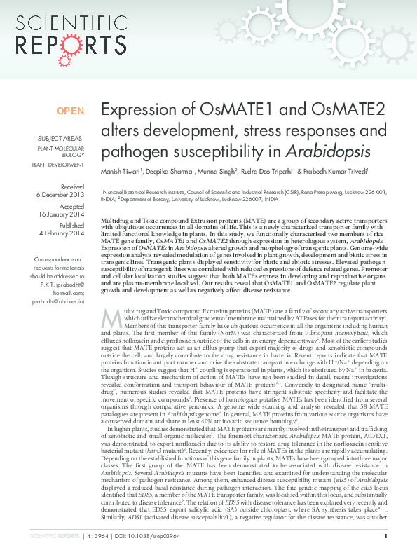 (PDF) Expression of OsMATE1 and OsMATE2 alters development, stress ...
