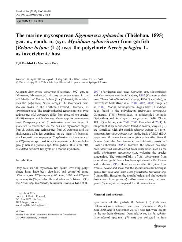 (PDF) The marine myxosporean Sigmomyxa sphaerica (Thélohan, 1895) gen ...