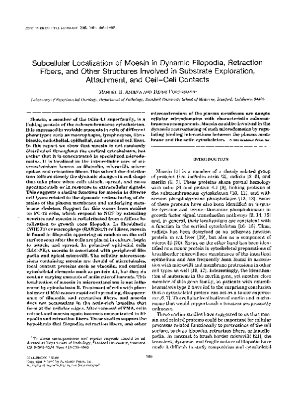 (PDF) Subcellular Localization of Moesin in Dynamic Filopodia ...