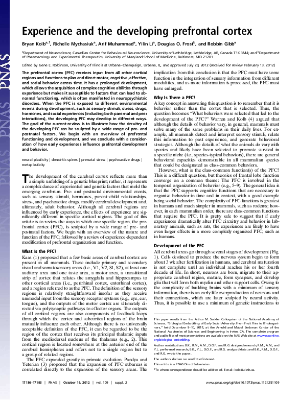 Pdf Experience And The Developing Prefrontal Cortex Bryan Kolb