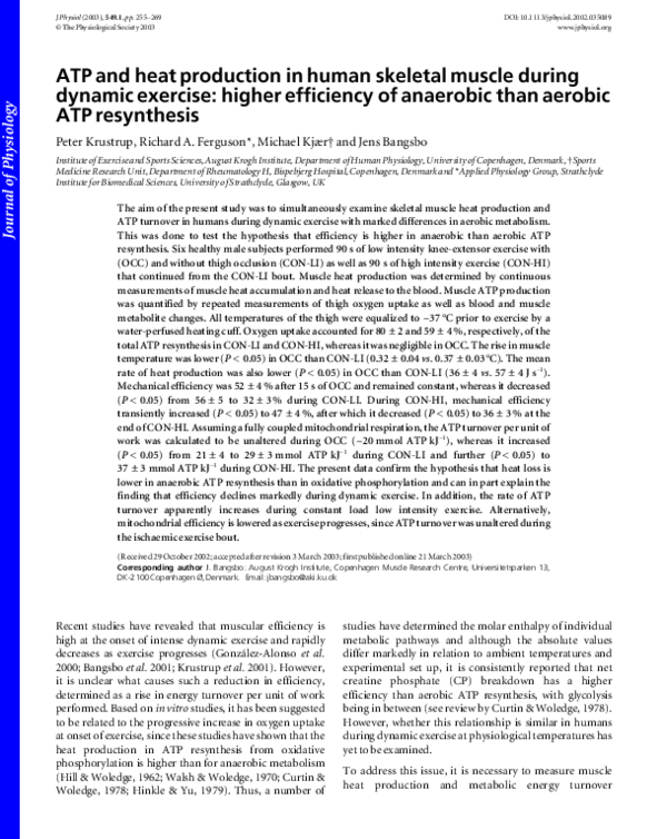 (PDF) ATP and heat production in human skeletal muscle during dynamic ...