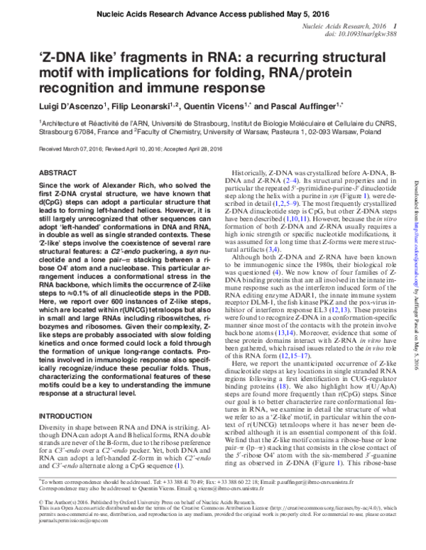 (PDF) ‘Z-DNA like’ fragments in RNA: a recurring structural motif with ...
