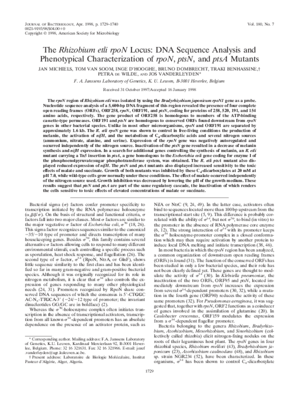 (PDF) The Rhizobium etli rpoN locus: DNA sequence analysis and ...