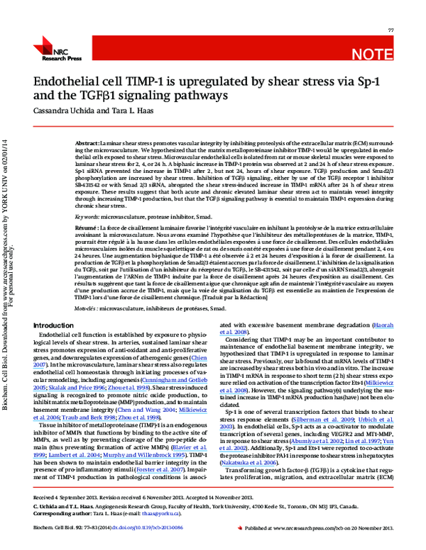 (PDF) Endothelial cell TIMP-1 is upregulated by shear stress via Sp-1 ...