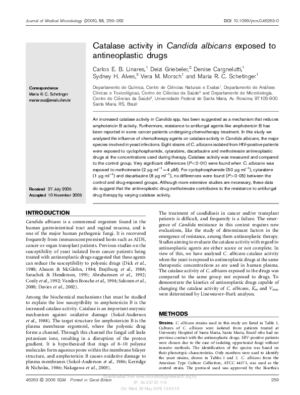 (PDF) Catalase activity in Candida albicans exposed to antineoplastic drugs