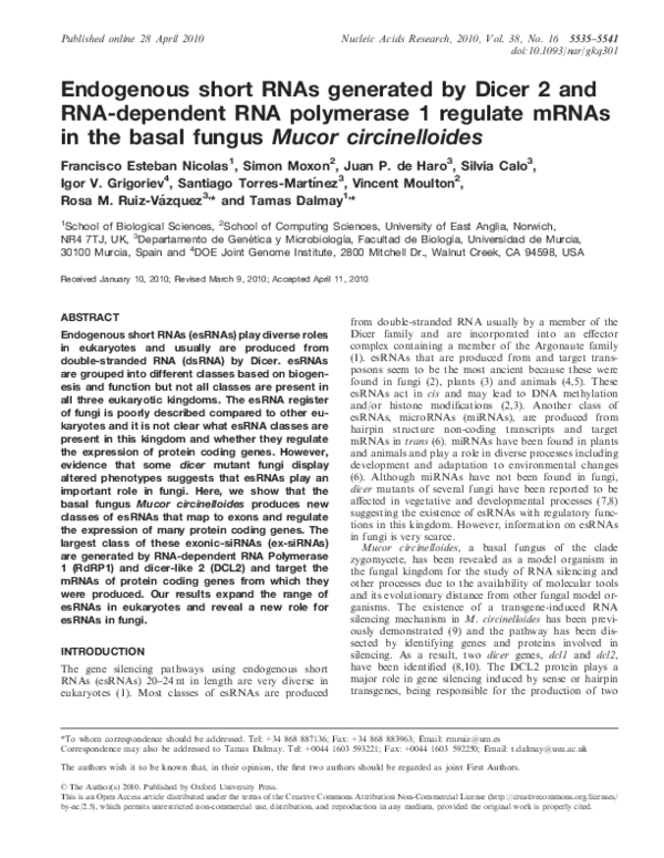 (PDF) Endogenous short RNAs generated by Dicer 2 and RNA-dependent RNA ...