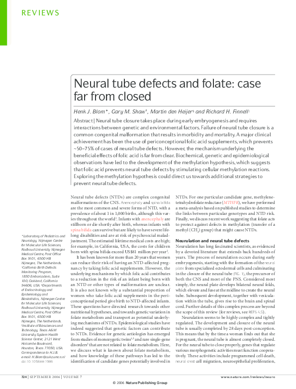 (PDF) Neural tube defects and folate: case far from closed