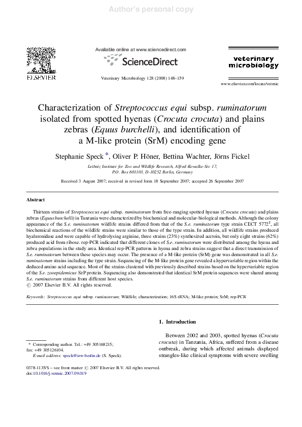 Pdf Streptococcus Equi Ruminatorum In Hyenas And Zebras