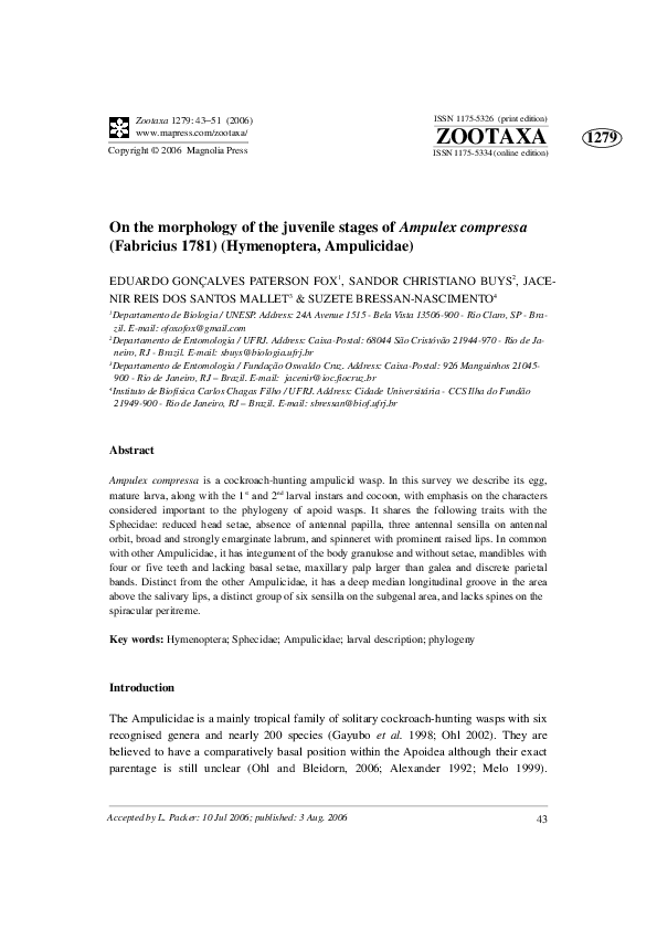 (PDF) On the morphology of the juvenile stages of Ampulex compressa ...