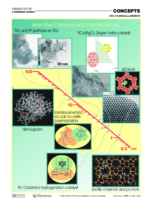 (PDF) Selective Catalysis and Nanoscience: An Inseparable Pair