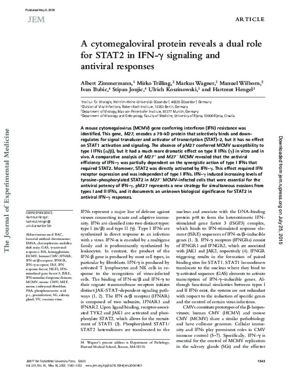 (PDF) A cytomegaloviral protein reveals a dual role for STAT2 in IFN ...