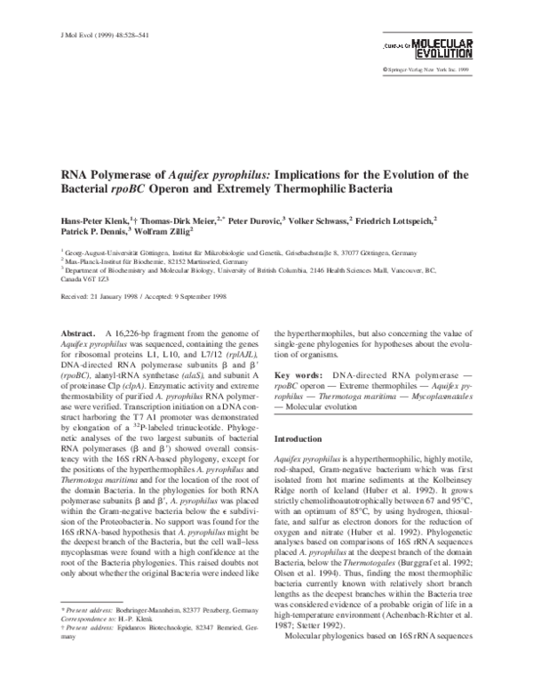 (PDF) RNA Polymerase of Aquifex pyrophilus: Implications for the ...