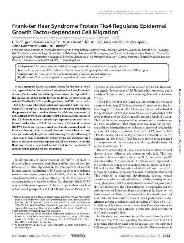 (PDF) Frank-ter Haar Syndrome Protein Tks4 Regulates Epidermal Growth ...