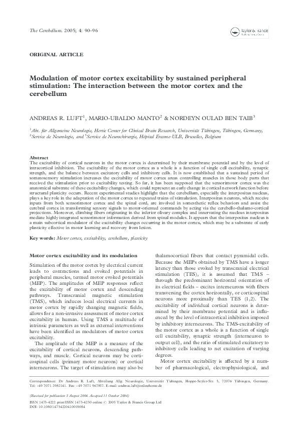 (PDF) Modulation of motor cortex excitability by sustained peripheral ...