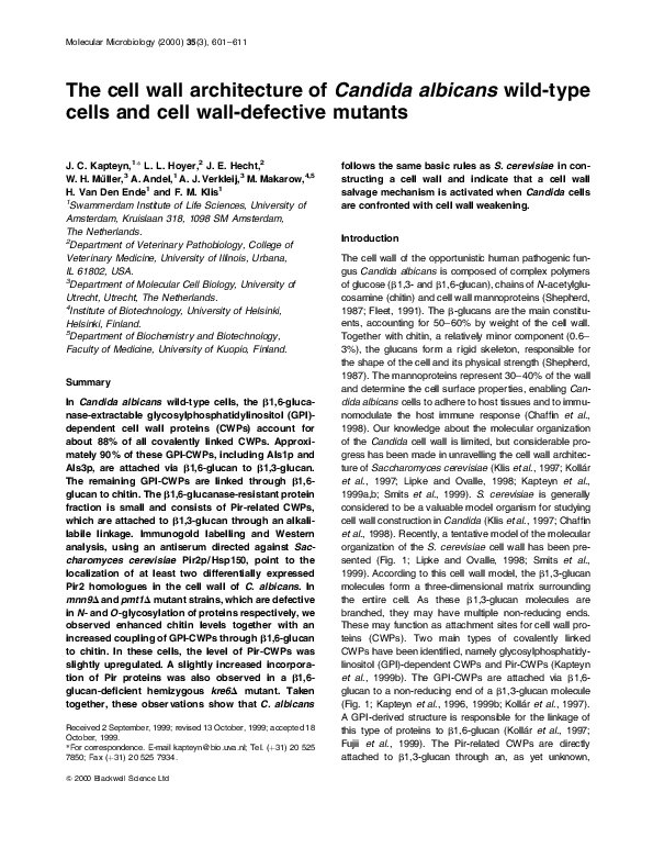 (PDF) The cell wall architecture of Candida albicans wild-type cells ...