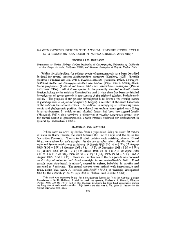 (PDF) Gametogenesis During the Annual Reproductive Cycle in a Cidaroid ...