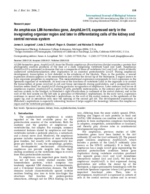 (PDF) An amphioxus LIM-homeobox gene, AmphiLim1/5, expressed early in ...