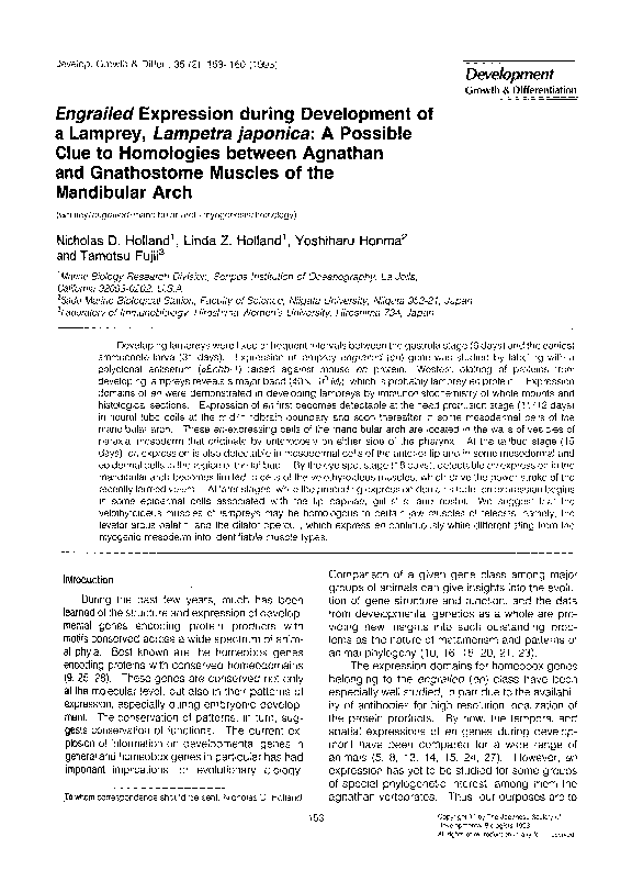 (PDF) Engrailed Expression during Development of a Lamprey, Lampetra ...
