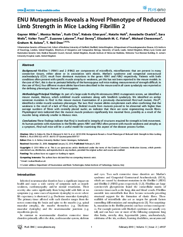 (PDF) ENU Mutagenesis Reveals a Novel Phenotype of Reduced Limb ...