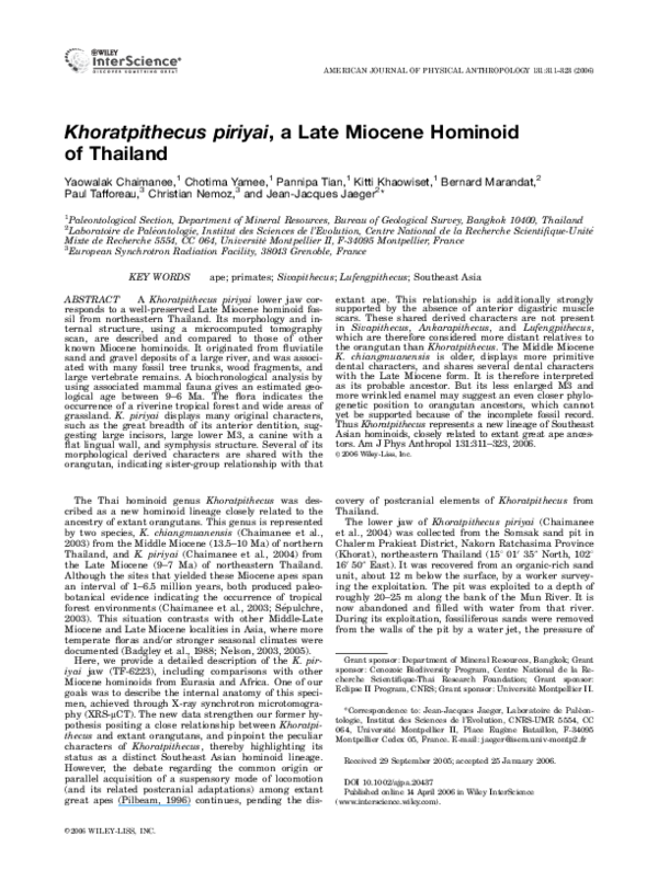 (PDF) Khoratpithecus piriyai, a Late Miocene hominoid of Thailand