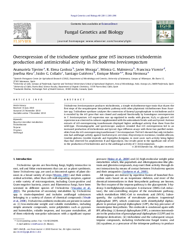 (PDF) Synthesis of Trichodermin Derivatives and Their Antimicrobial and Cytotoxic Activities ...