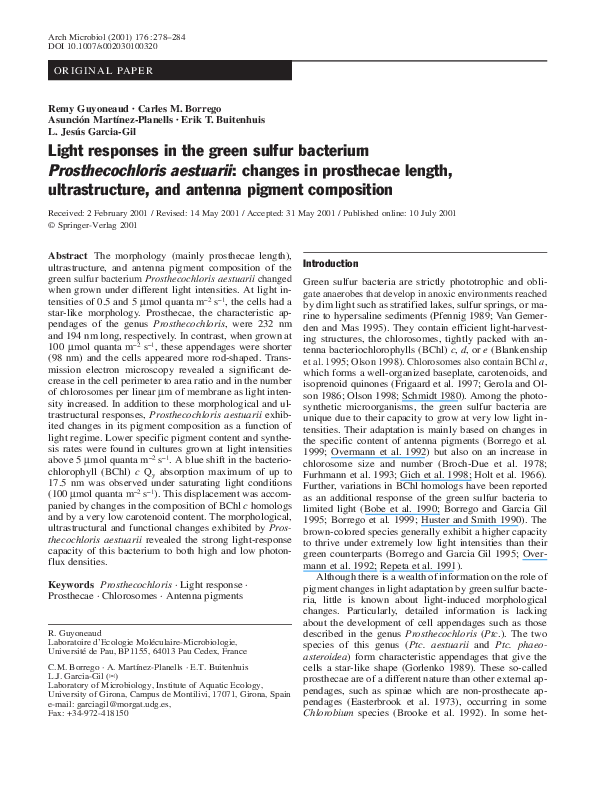 (PDF) Light responses in the green sulfur bacterium Prosthecochloris ...