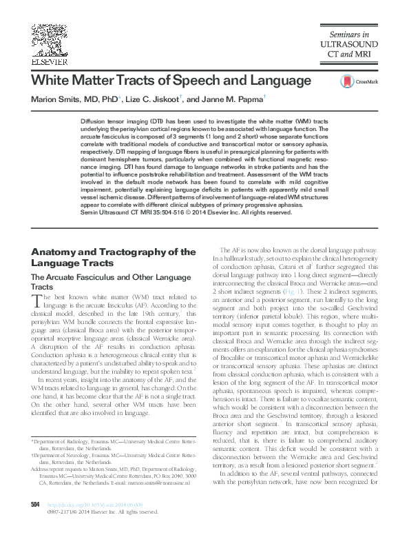 (PDF) White matter tracts of speech and language