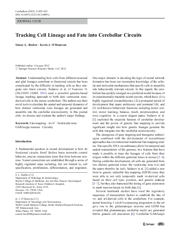 (PDF) Tracking Cell Lineage and Fate into Cerebellar Circuits