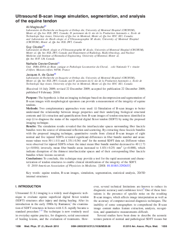 Pdf Ultrasound B Scan Image Simulation Segmentation And Analysis Of