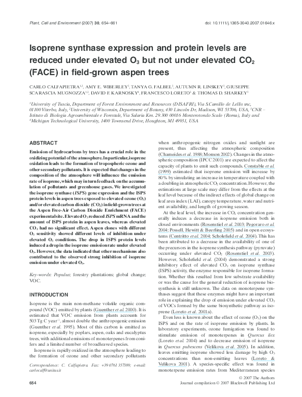 (PDF) Isoprene synthase expression and protein levels are reduced under ...
