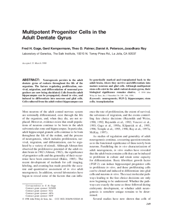 (PDF) Multipotent progenitor cells in the adult dentate gyrus