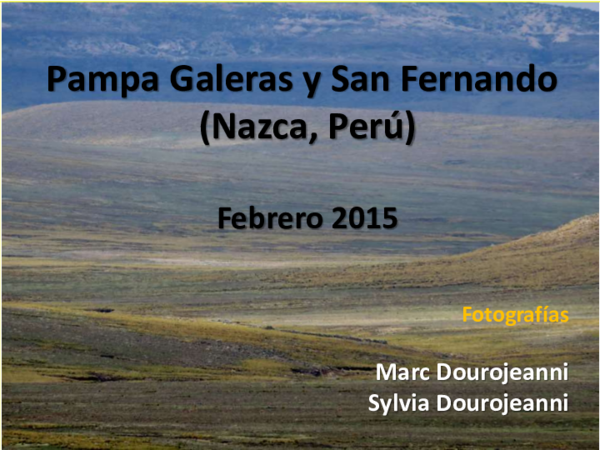 (PDF) Pampa Galeras y San Fernando (Nazca, Perú)