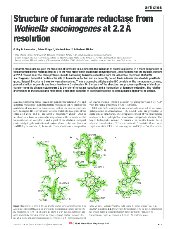 (PDF) Structure of fumarate reductase from Wolinella succinogenes at 2. ...