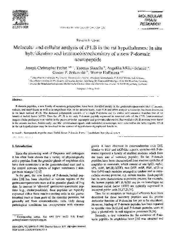 (PDF) Molecular and cellular analysis of rP1.B in the rat hypothalamus ...
