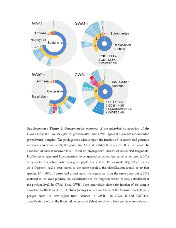 (PDF) Diverse uncultivated ultra-small bacterial cells in groundwater