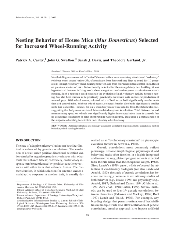 (PDF) Nesting behavior of house mice (Mus domesticus) selected for ...