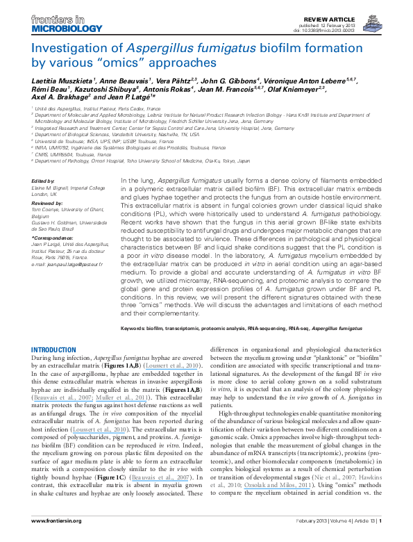 (PDF) Investigation of Aspergillus fumigatus biofilm formation by various "omics" approaches