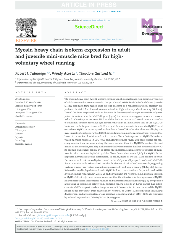 (PDF) Myosin heavy chain isoform expression in adult and juvenile mini ...