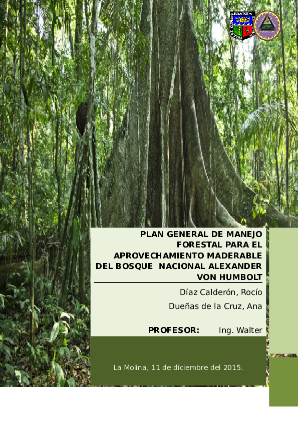 (DOC) PLAN GENERAL DE MANEJO FORESTAL PARA EL APROVECHAMIENTO MADERABLE ...