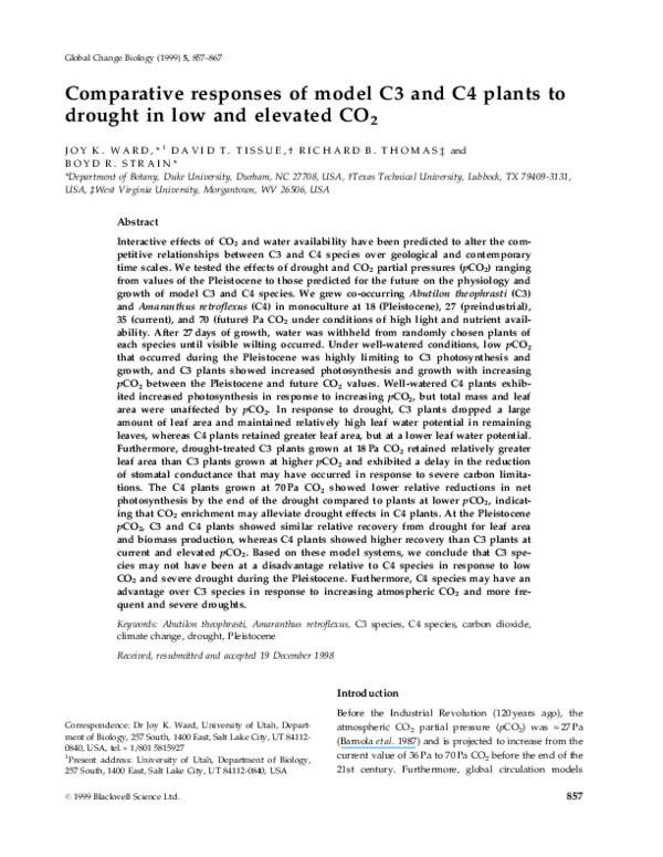 (PDF) Comparative responses of model C3 and C4 plants to drought in low ...