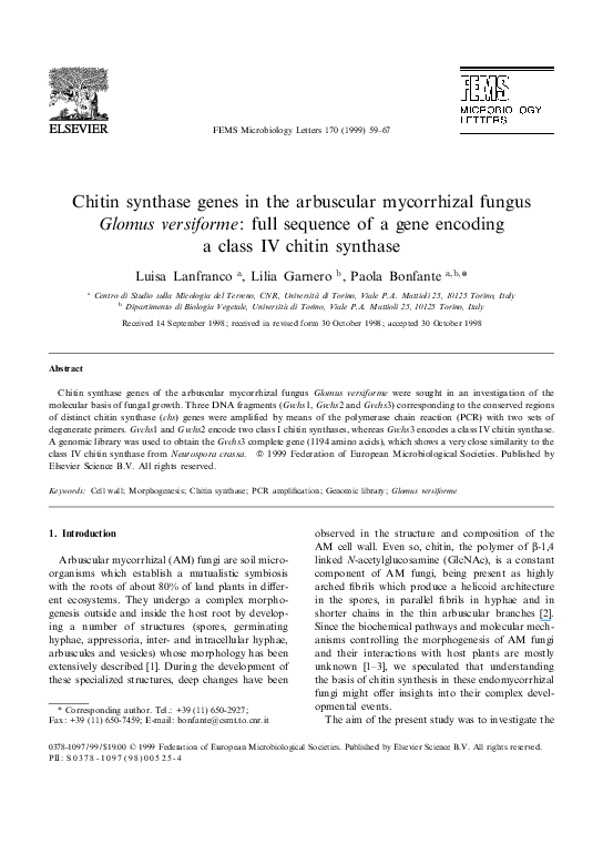 (PDF) Chitin synthase genes in the arbuscular mycorrhizal fungus Glomus ...
