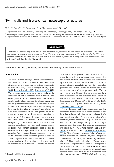 (PDF) Twin walls and hierarchical mesoscopic structures